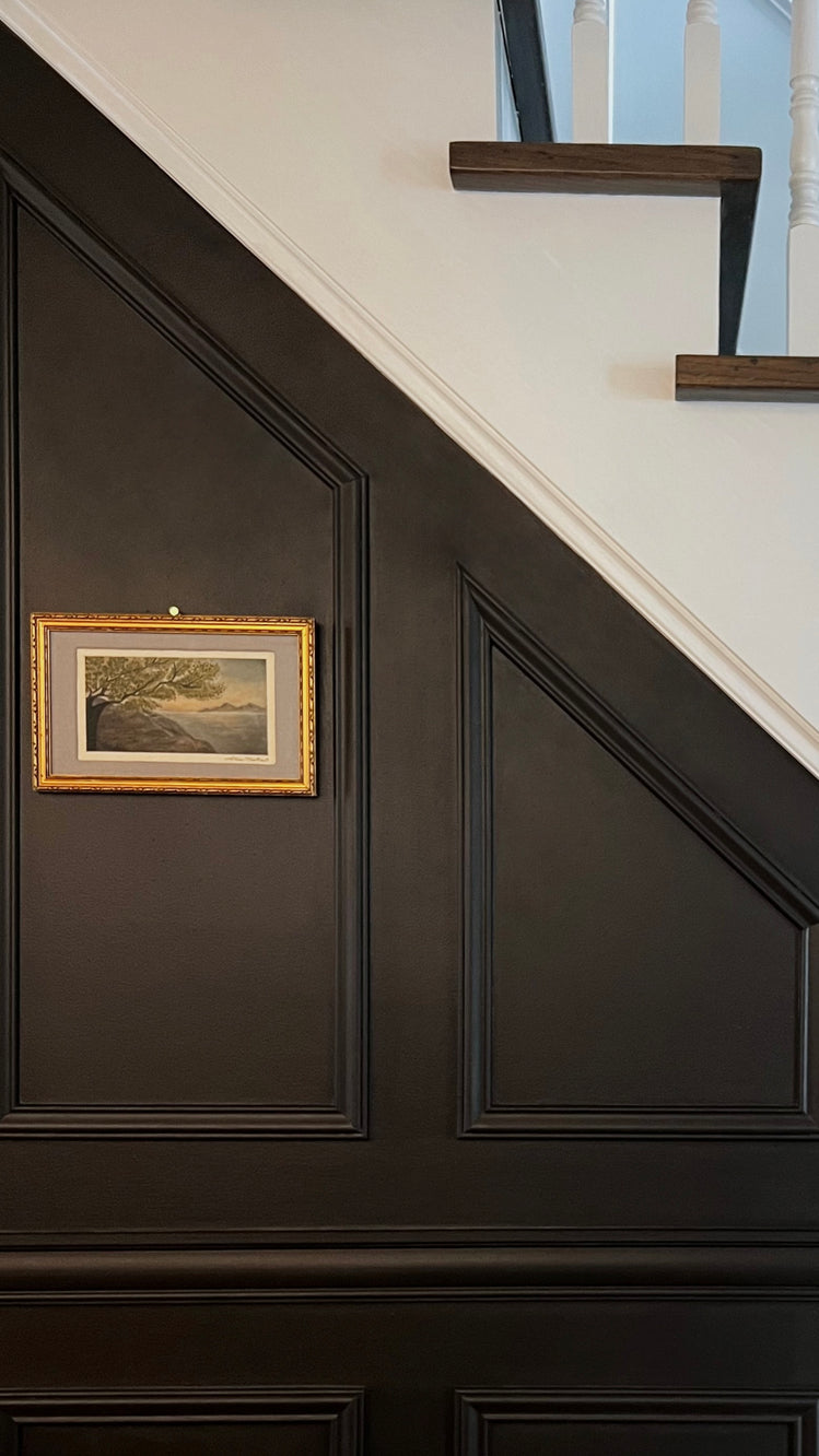 Lookbook – Alice Mathew Collection